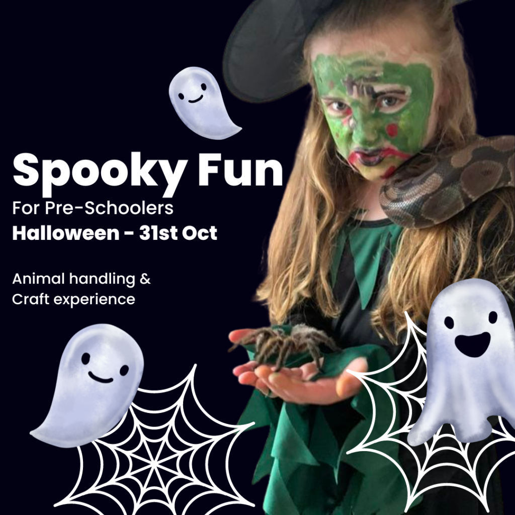 Mayhem Party Bookings – Reserve your party here – Medieval Mayhem